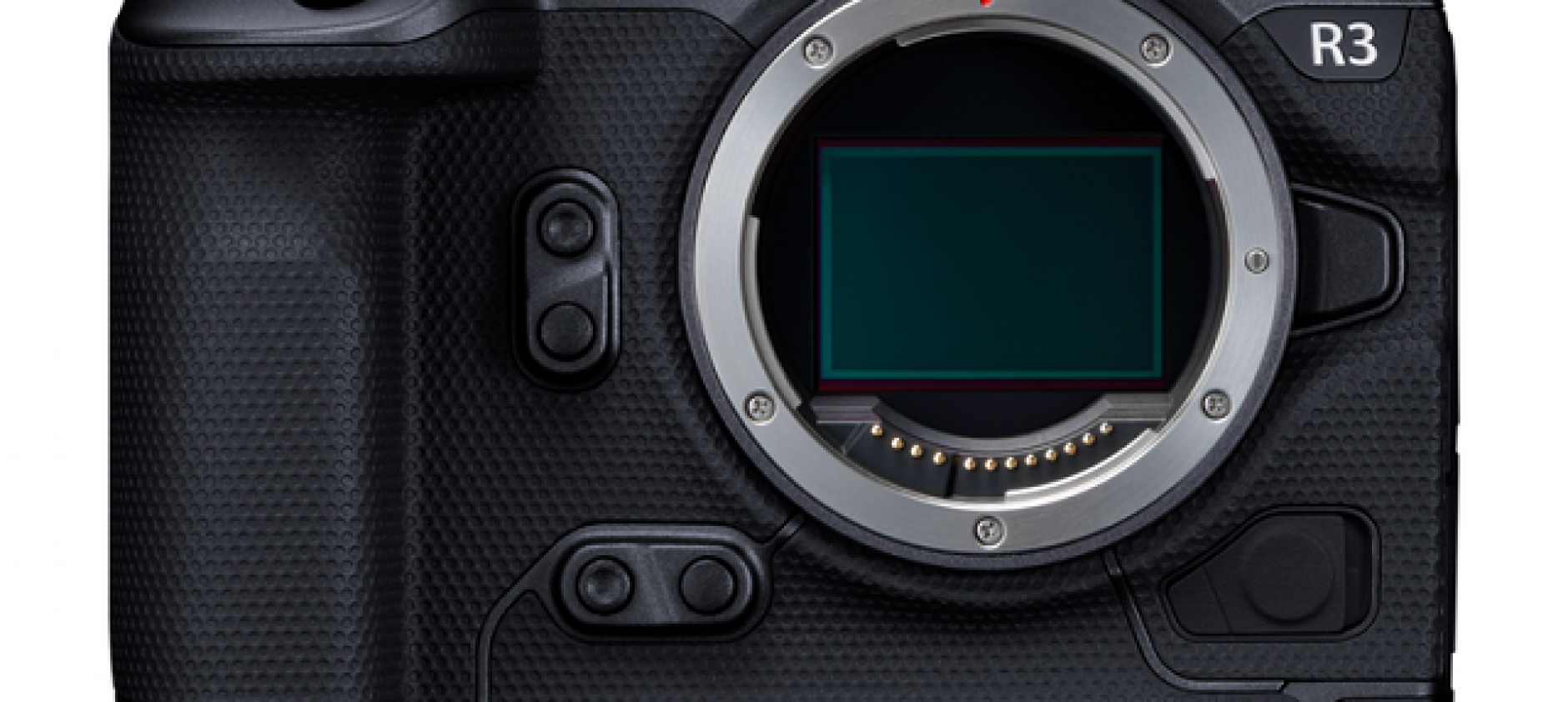 Canon EOS R3 Pro- Professional Mirrorless Camera - Gadget Reviewed